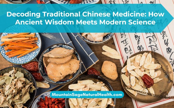 Decoding Traditional Chinese Medicine: How Ancient Wisdom Meets Modern ...